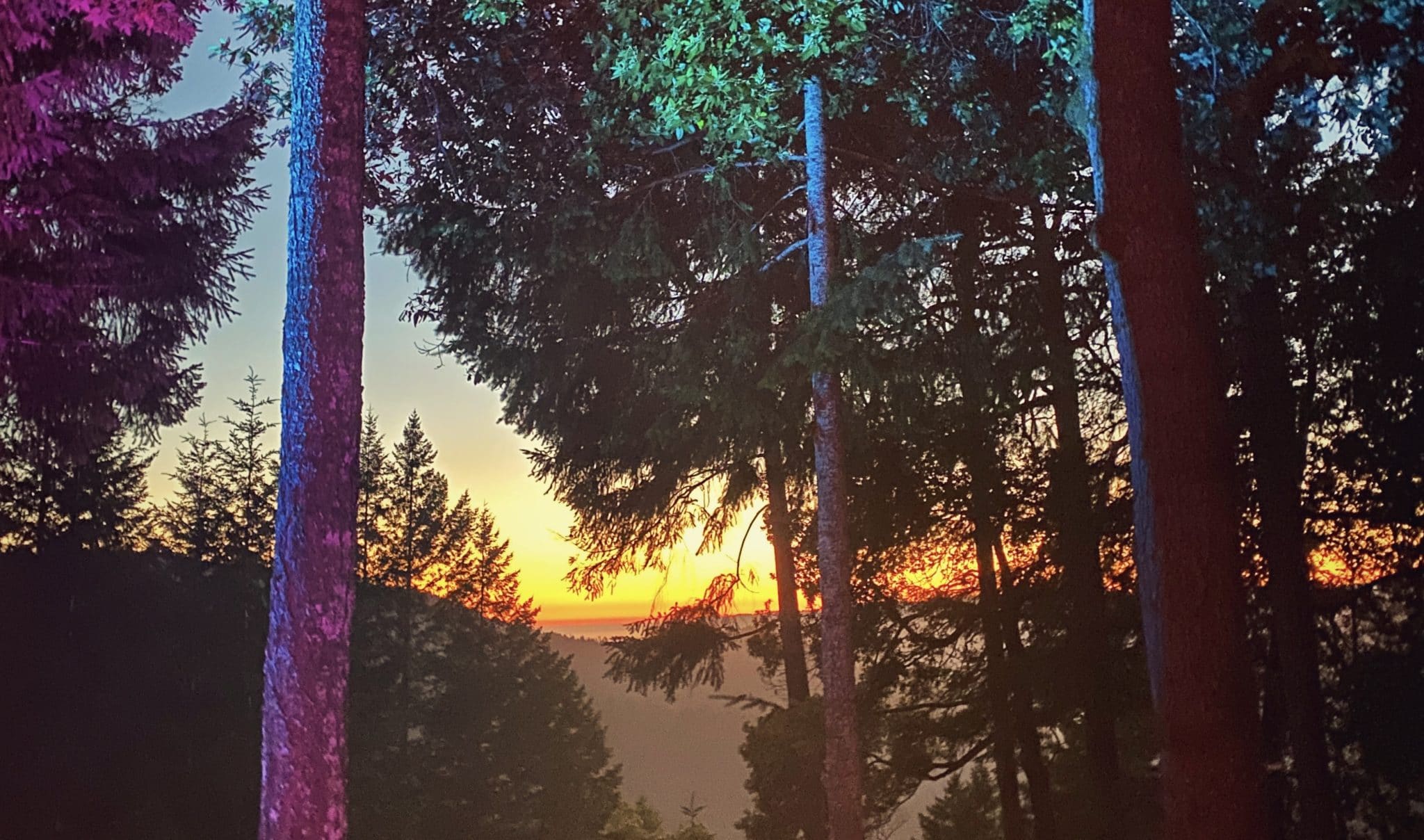 Lightform – Design Tools for Projection. Lightform makes it easy for ...